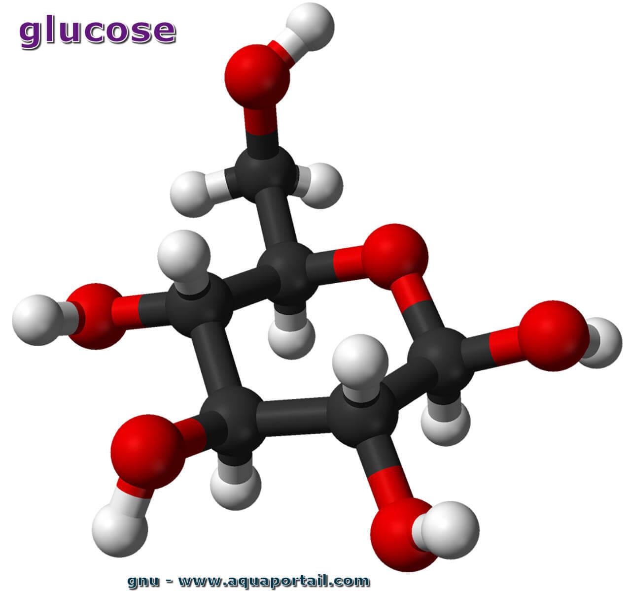 Glucose D finition Et Explications Glucose D finition Et Explications