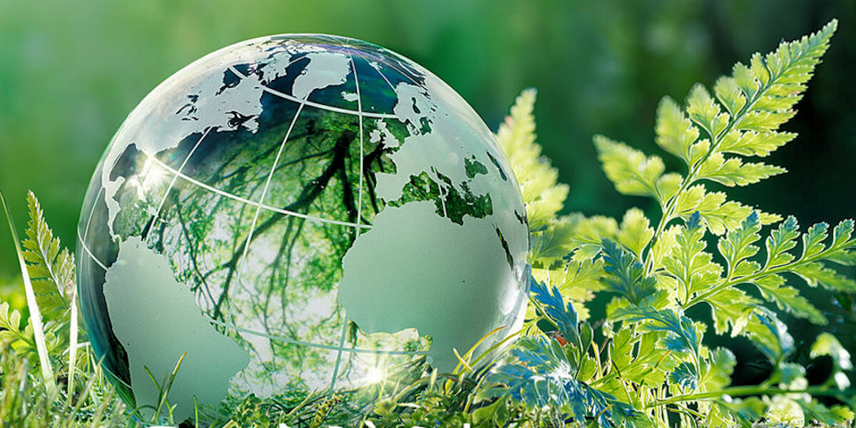 Blog biologique de la vie : Accueil