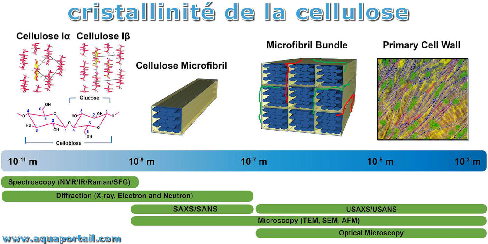 Alcalinité : définition et explications Alcalinité : définition et explications
