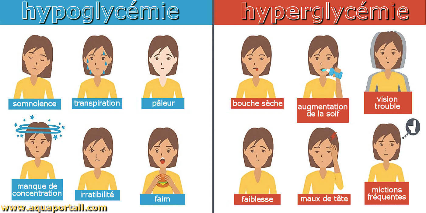 Glycémie, hyperglycémie, hypoglycémie : définitions et comparaison Glycémie, hyperglycémie, hypoglycémie : définitions et comparaison