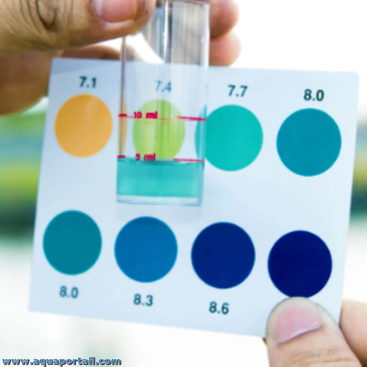Alcalinité totale : définition et explications – AquaPortail Alcalinité totale : définition et explications – AquaPortail