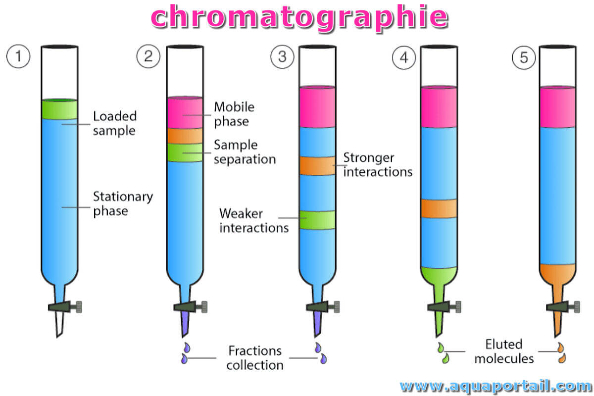 Wie Funktioniert Chromatographie ESAUFF