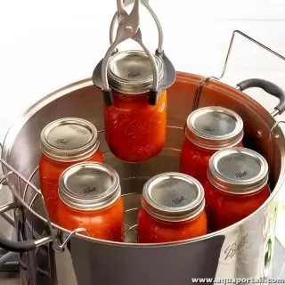 Appertisation : définition et explications