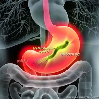 Helicobacter : définition et explications