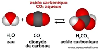 Acide chlorhydrique (HCl) : définition et explications