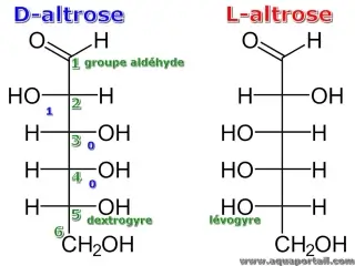 Altrose : synonymes et antonymes