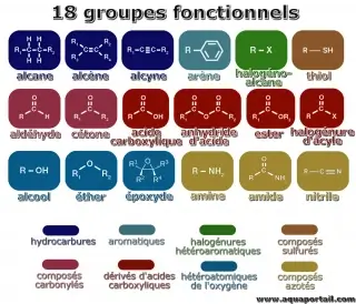 Aryle : définition et explications