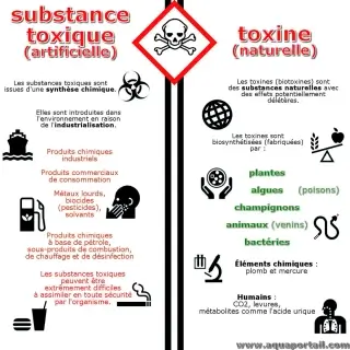 Substance fondamentale : définition et explications