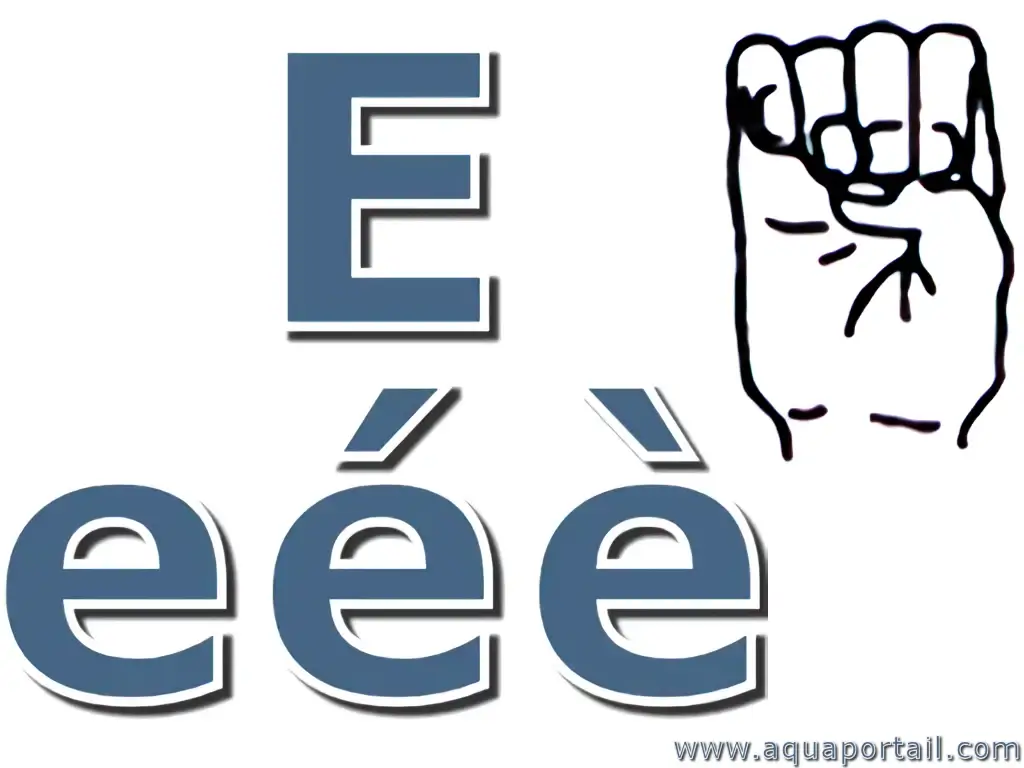 Lexique mots en E - Dictionnaire illustré