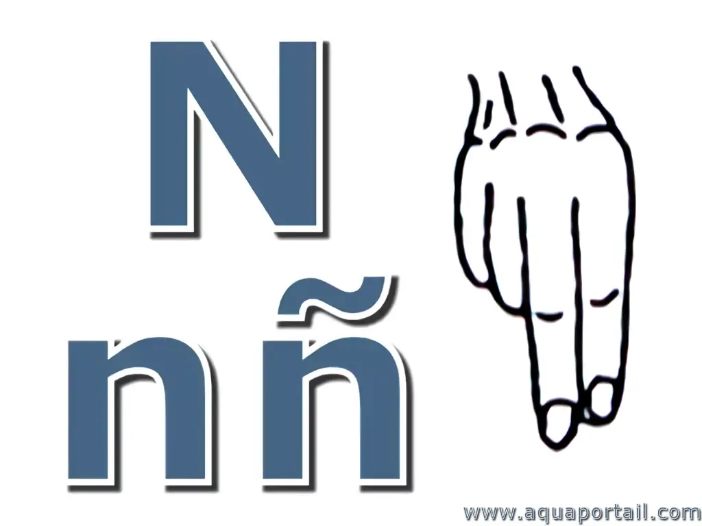 Lexique mots en N - Dictionnaire illustré