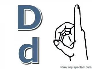 Lexique mots en D - Dictionnaire illustré