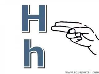 Lexique mots en H - Dictionnaire illustré