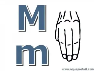 Lexique mots en M - Dictionnaire illustré
