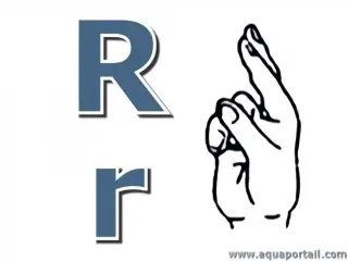 Lexique mots en R - Dictionnaire illustré