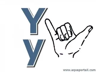 Lexique mots en Y - Dictionnaire illustré