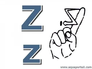 Lexique mots en Z - Dictionnaire illustré